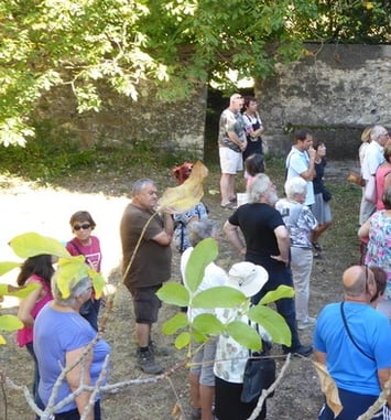Visite du Four à Chaux à La Tour-sur-Orb — 19 sept. 26